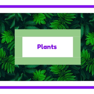 Printable Bulletin Board Borders: Classroom Decor Elementary Primary ...