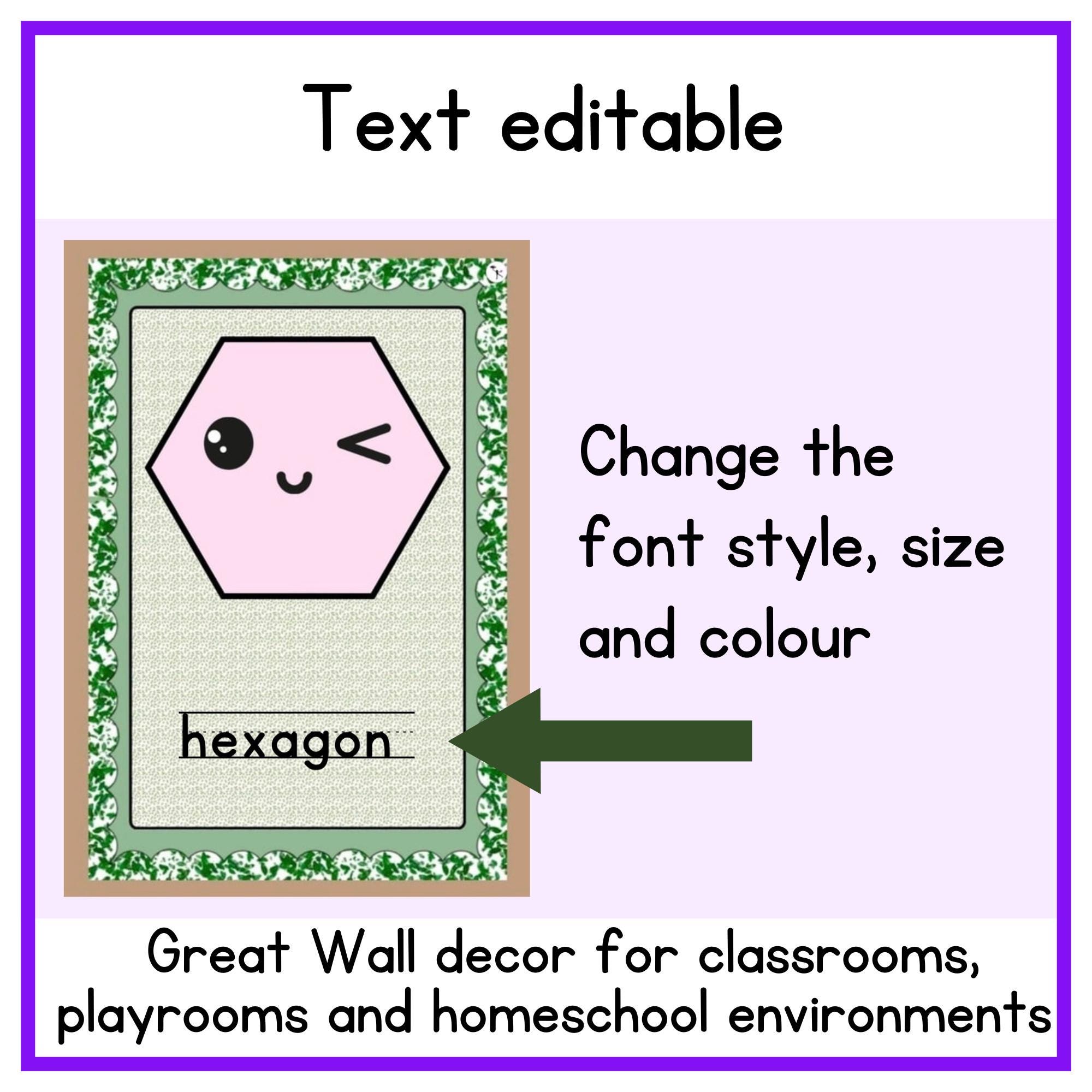 Editable 2D and 3D Shape Posters Elementary Math Learning Resources for ...