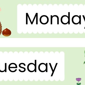 Days of the Week Display Cards - Etsy