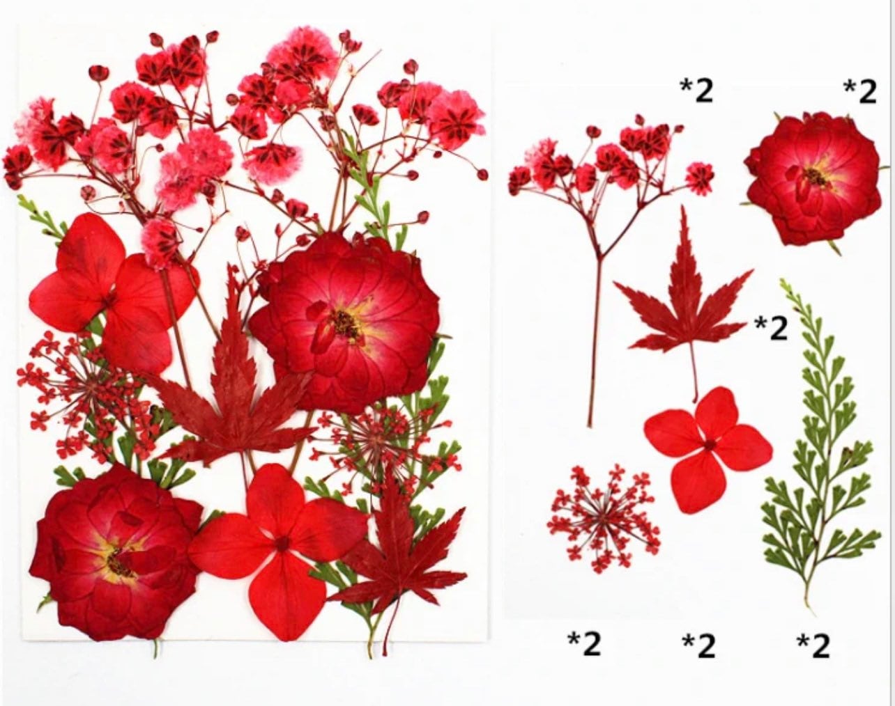 Dried Pressed Real Flowers for Decoration Crafts Art Resin - Etsy UK