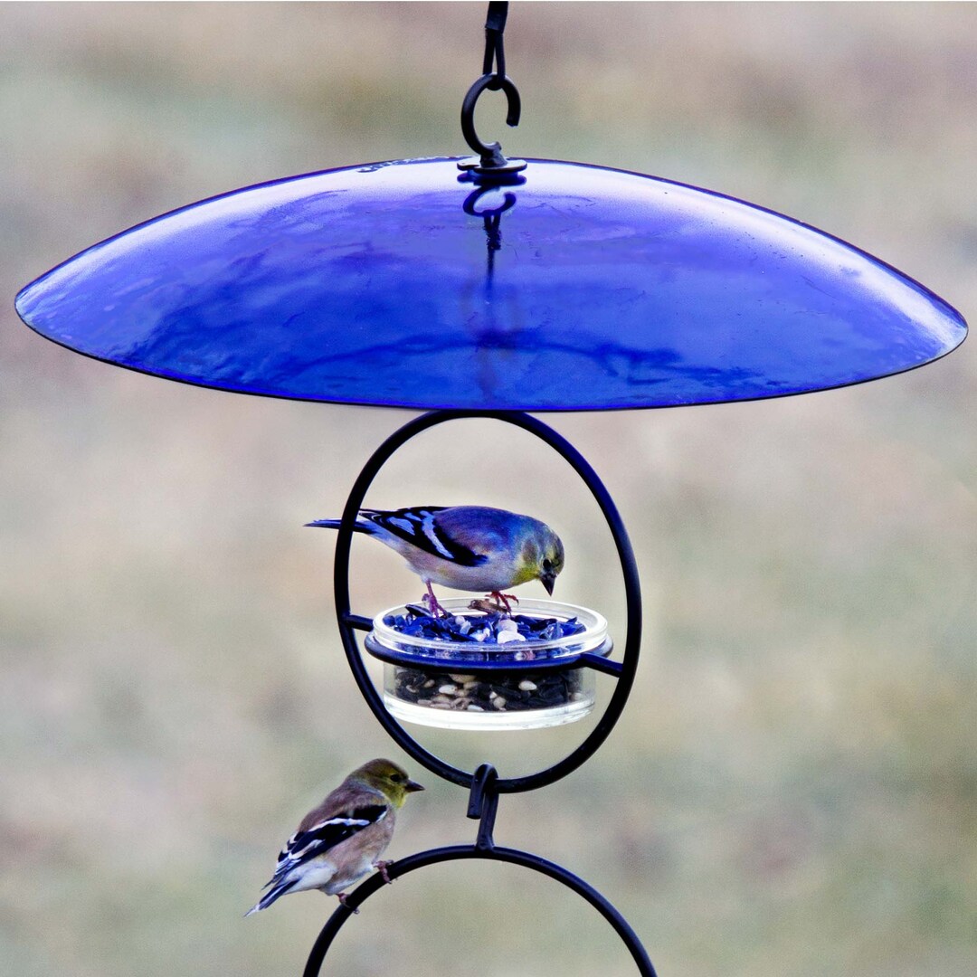 Recycled Glass Bird Feeder Baffle Dome | Weather Protection - Etsy