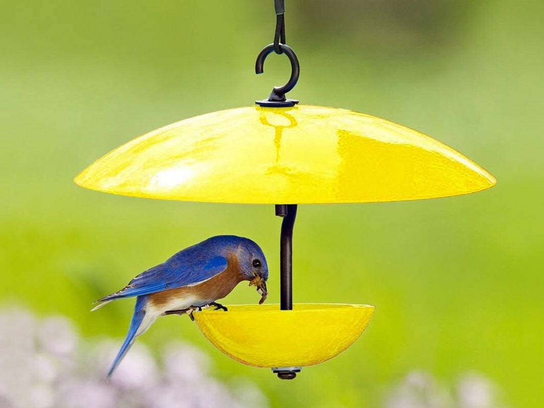Single Poppy Bird Feeder With Baffle and Steel Core Rope | Hanging Bird ...
