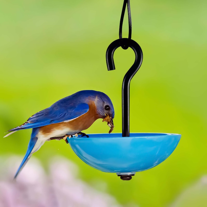 Hanging Birds on a Rope - Etsy