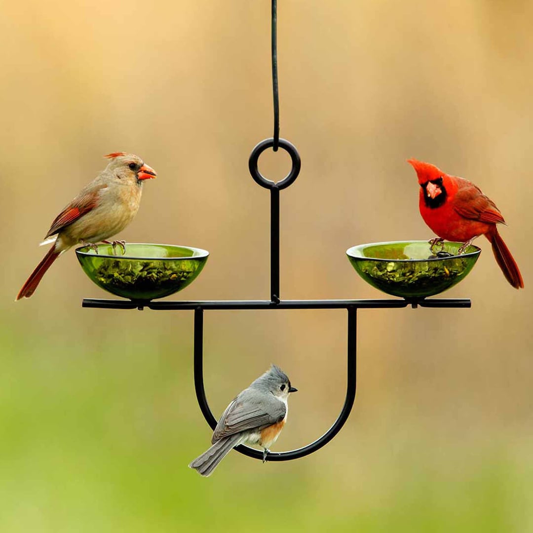 Side by Side Poppy Bird Feeder | Hanging Bird Feeder for Garden and ...