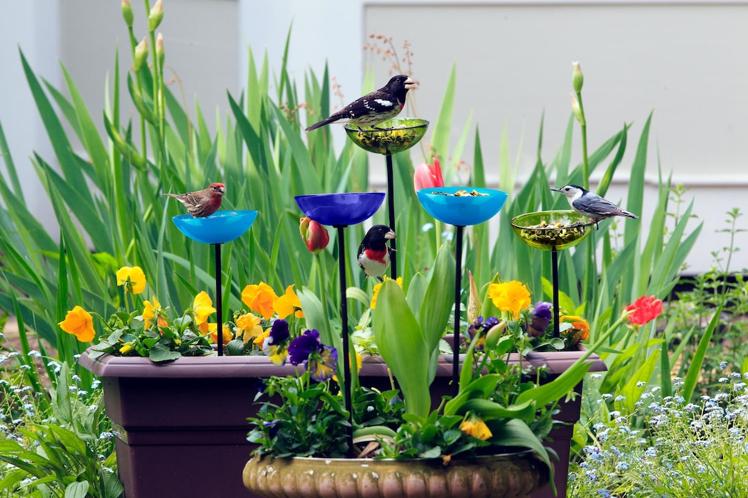 Poppy Stake Bird Feeder | Glass Bird Bath & Garden Decor - Etsy