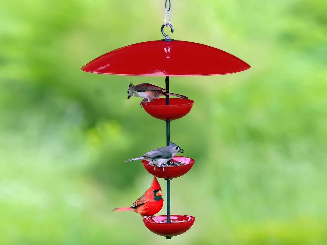 Triple Poppy Bird Feeder With Baffle and Steel Core Rope - Etsy