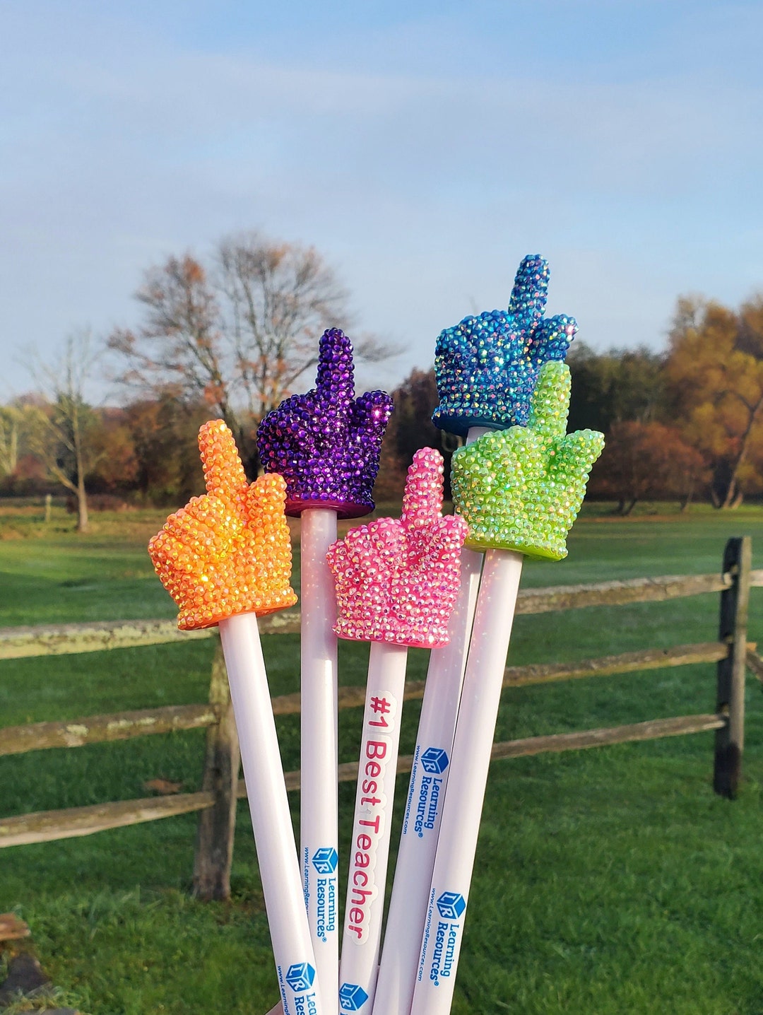 Teacher Gift, Teacher Pointer, Teacher Pointer Stick, Bling Teacher ...