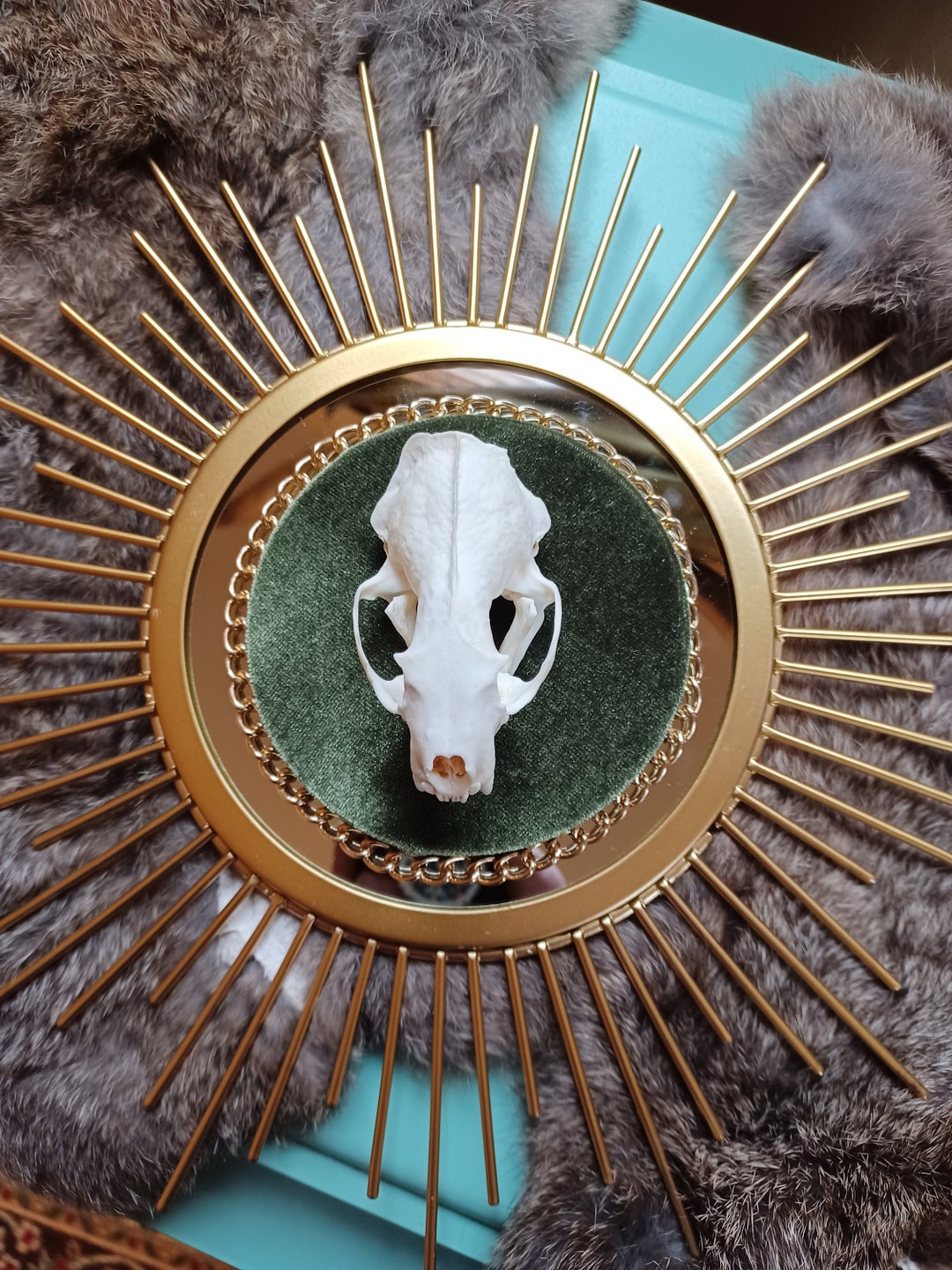 Sunburst Skull Mirror, Mid Century Modern Mounted Animal Bone, Green ...