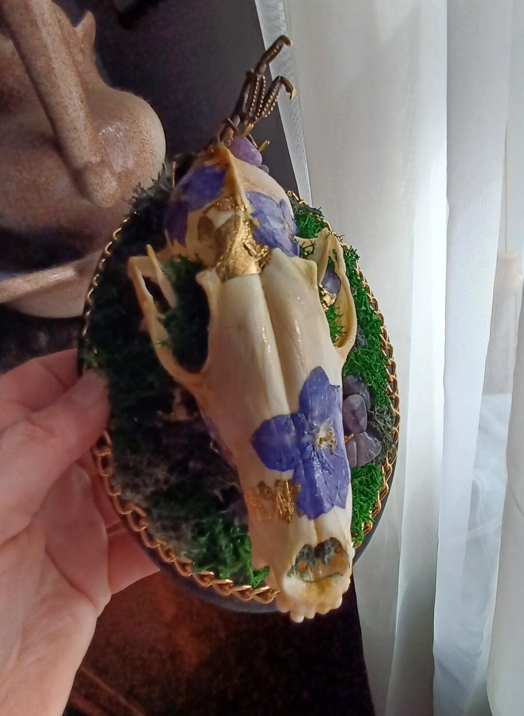 Delphinium Flower Mantis Fox Skull. Authentic Animal Skull With Gold ...