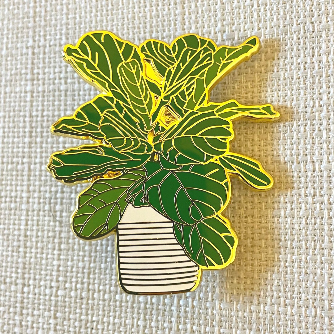 Fiddle Me This Fig Tree - Etsy