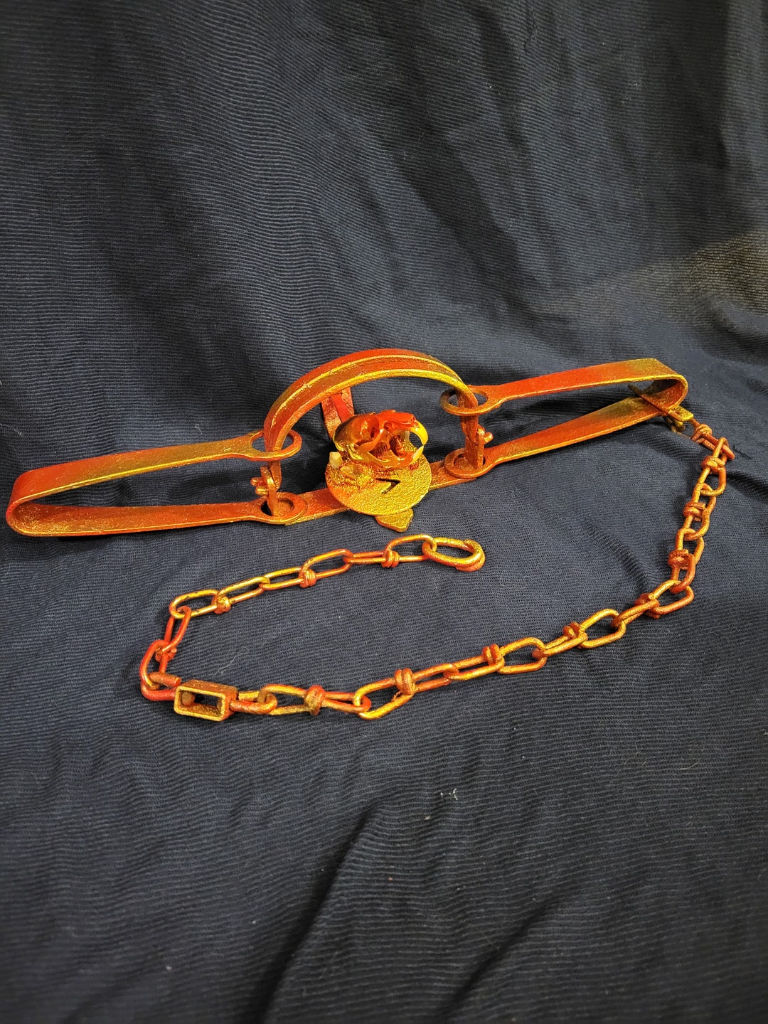 Painted Nutria Skull on Vintage Trap, Painted Animal Skull, Taxidermy ...