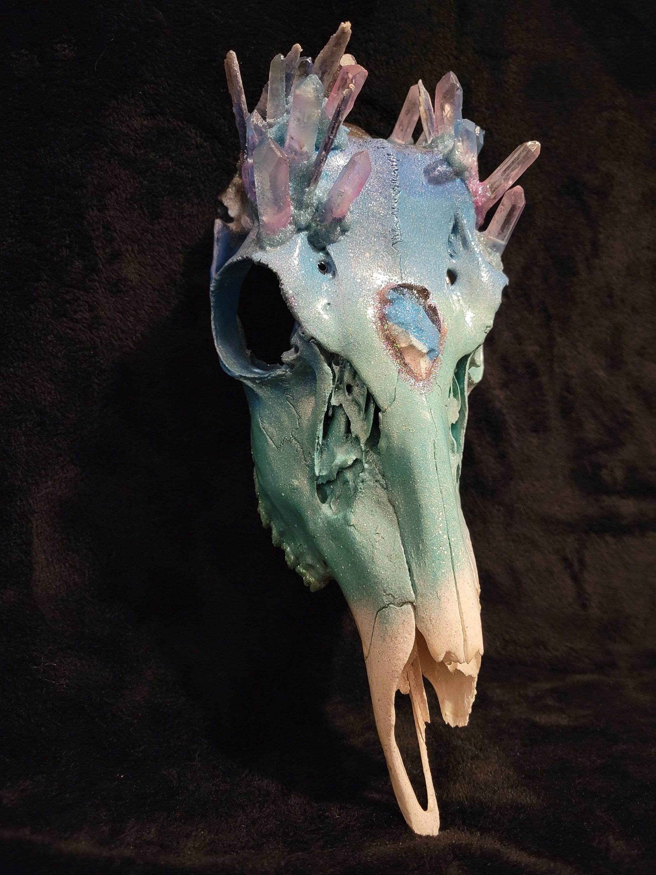 Animal Skull Painting