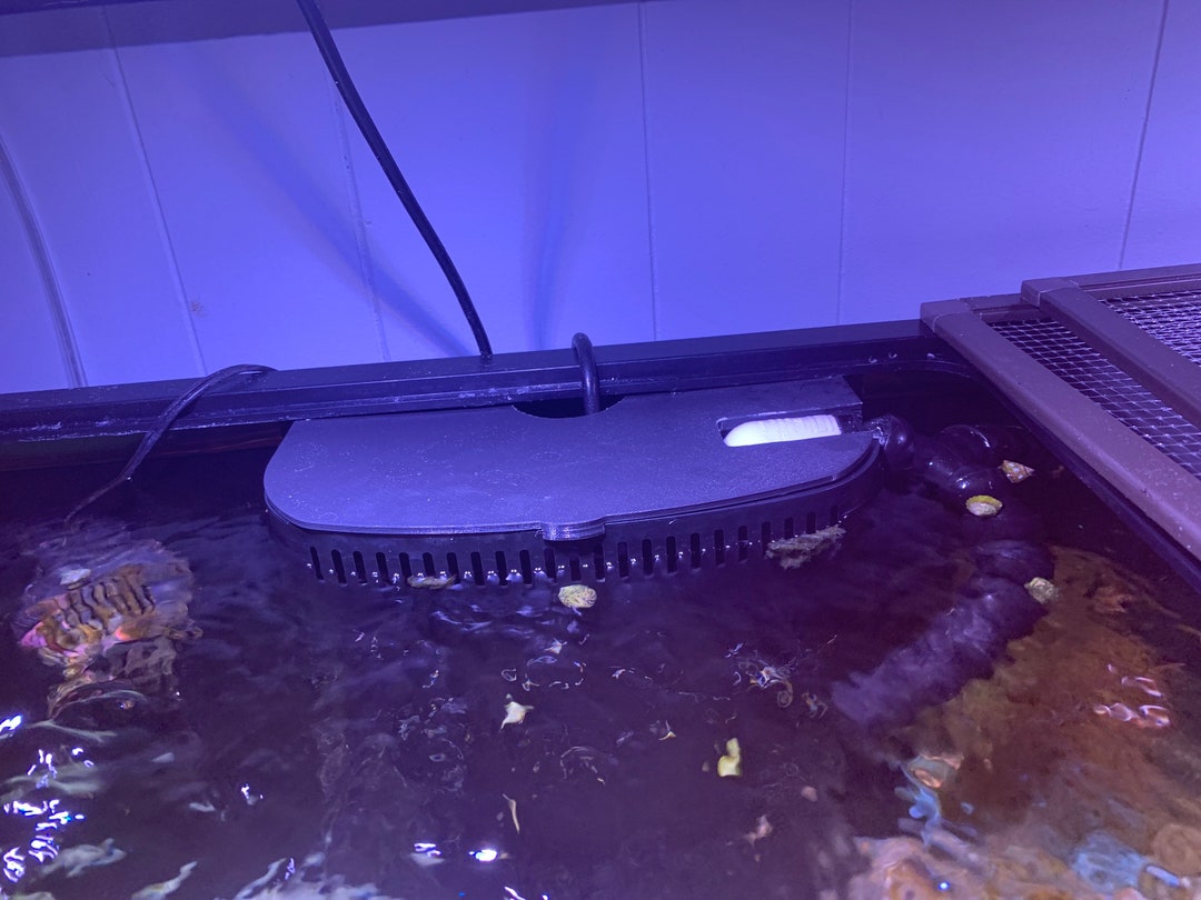 Mega Overflow Lid (aqueon) (oceanic) - Etsy