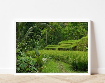 Batad Rice Terraces Fine Art Print, Philippines Aerial Photography ...