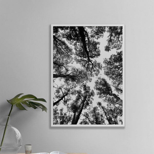 Canopy - Etsy