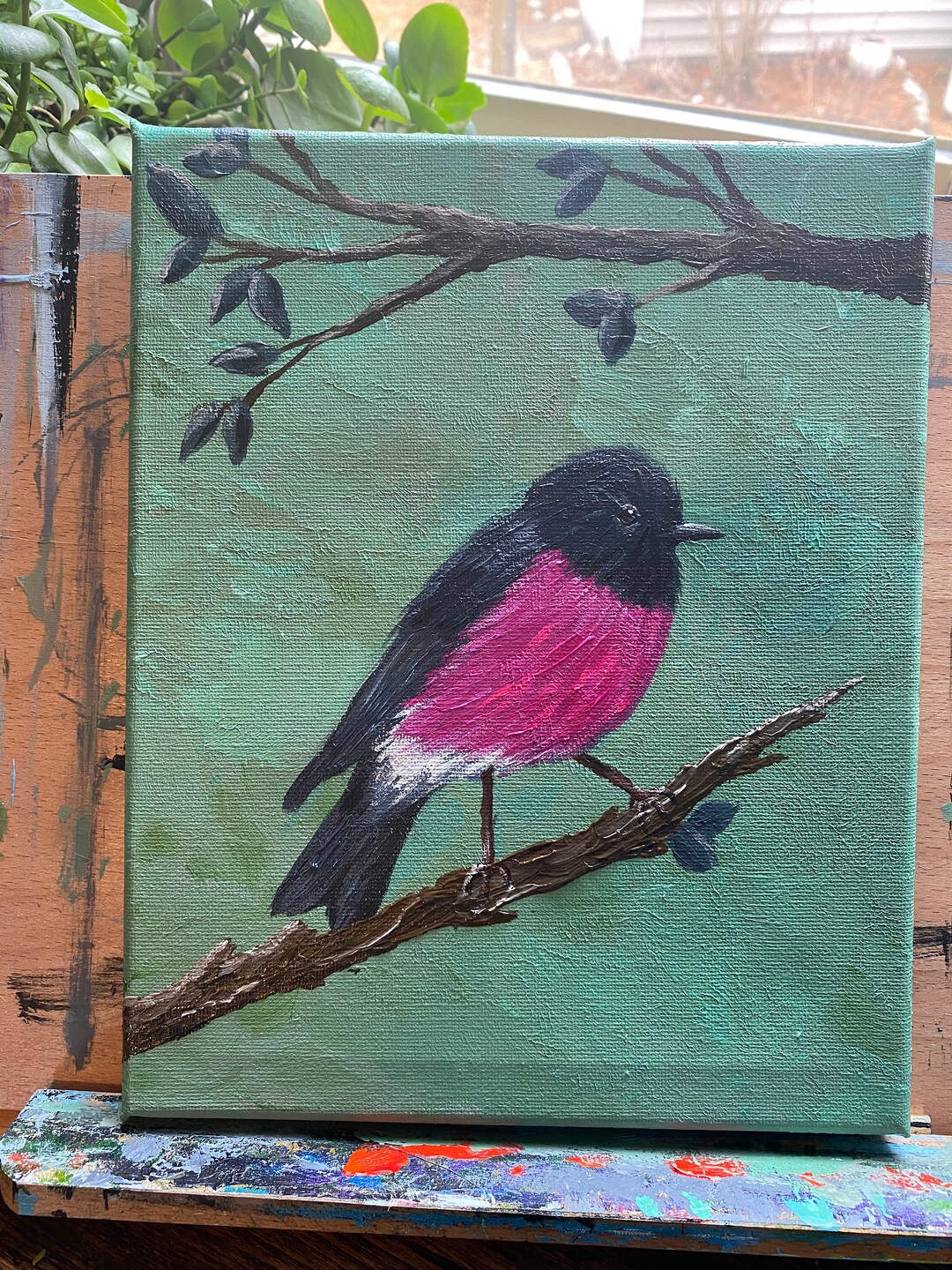 Australian Pink Robin - Etsy