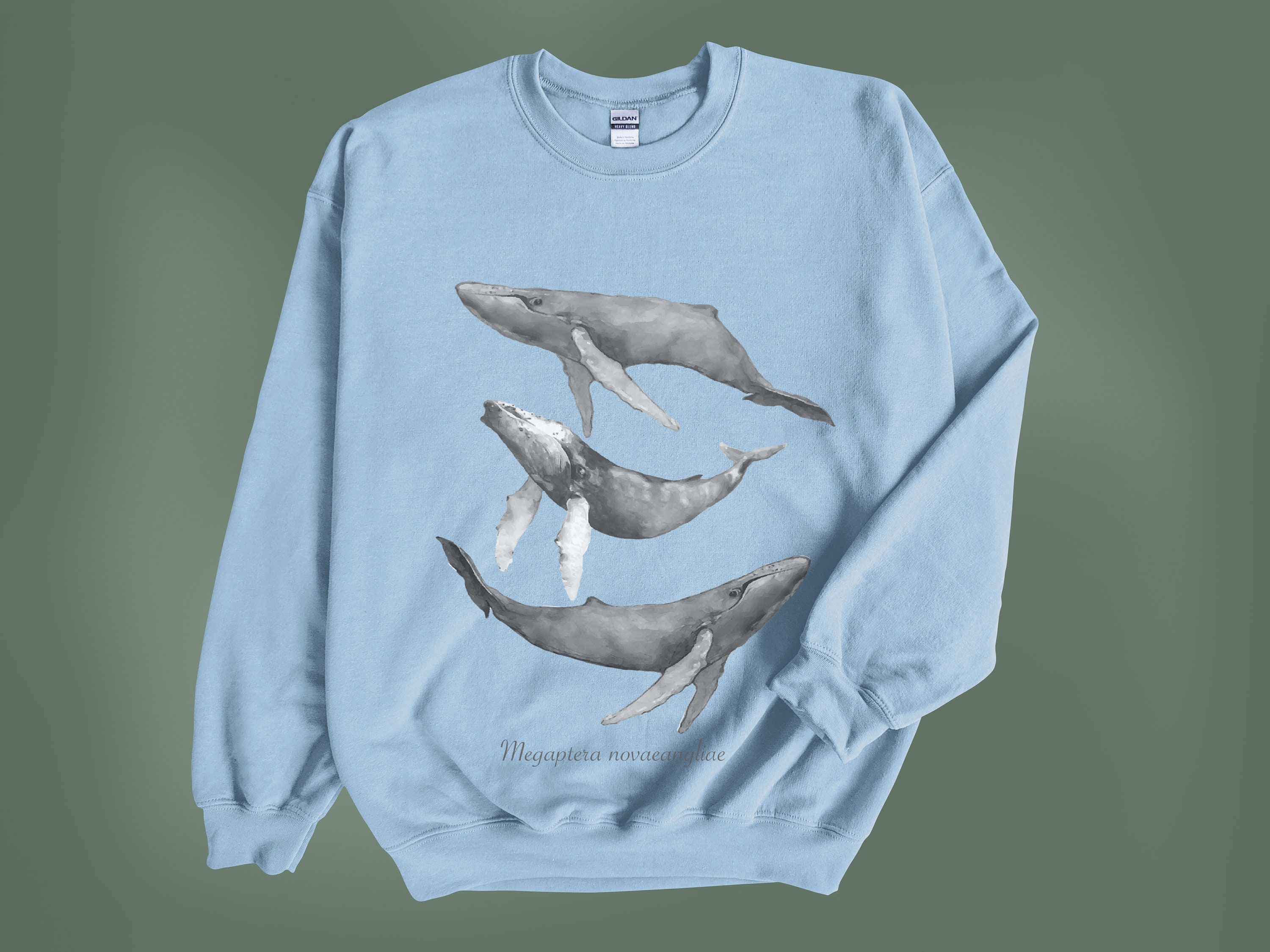 Humpback Whale Watercolor, Humpback Whale Graphic Sweatshirt, Whale ...
