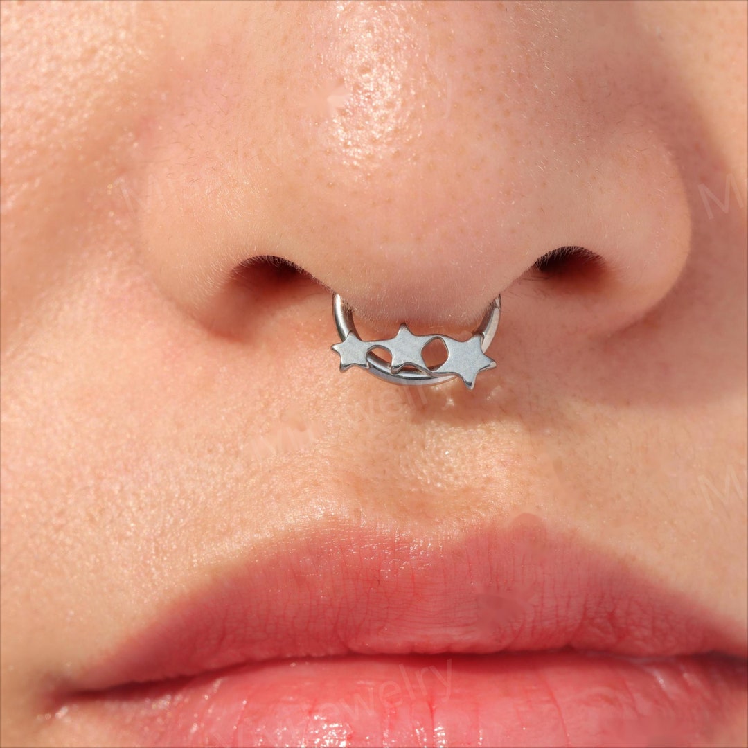 16G Implant Titanium Septum Ring Clicker/ Hinged Septum Hoop/septum ...