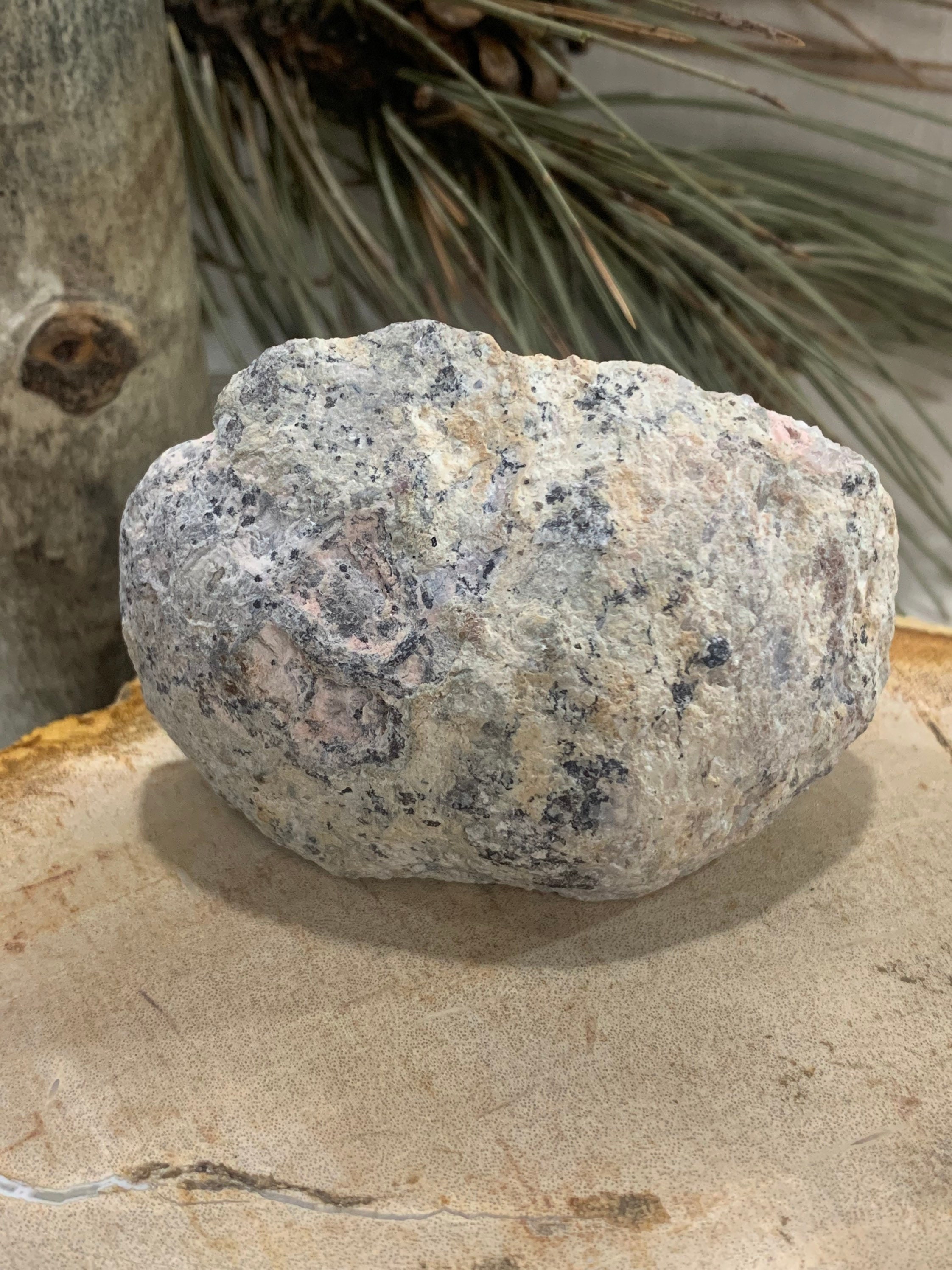 Trancas Geode From Chihuahua Mexico With Cut Base and Polished Face ...