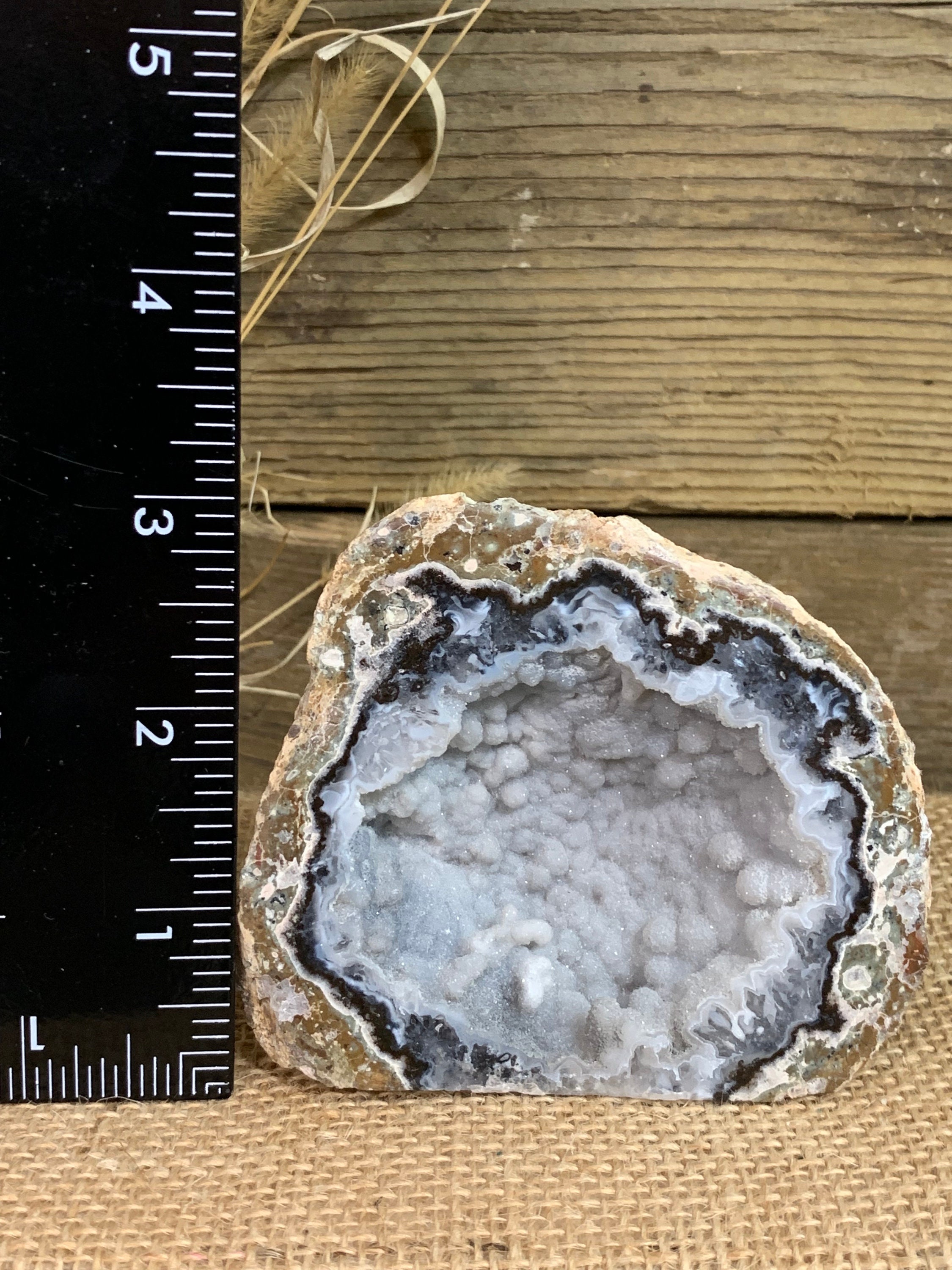 Trancas Geode From Chihuahua Mexico With Cut Base and Polished - Etsy