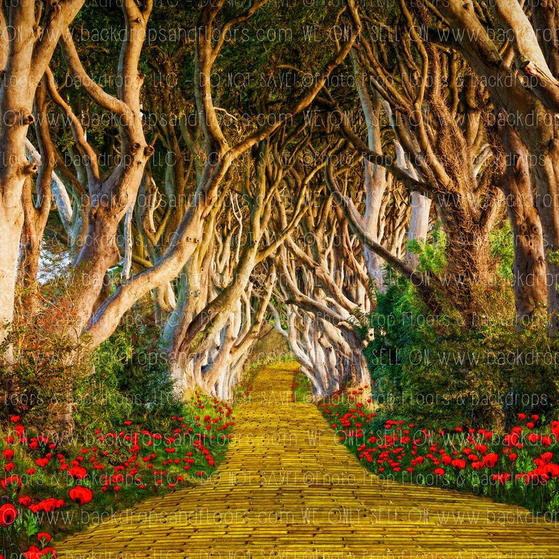 Wicked Backdrop - Etsy