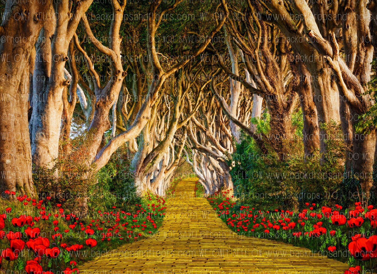 Wizard Of Oz Background