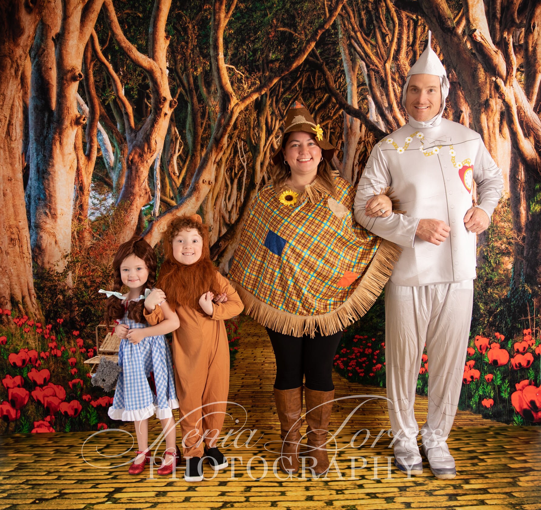 The Wonderful Wizard Oz Photography - Floordrop, Yellow Brick Road ...