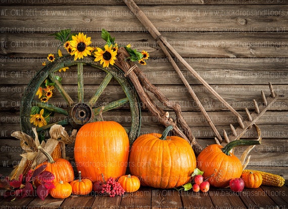 Fall Harvest Scene Photography Backdrop Pumpkins Sunflowers - Etsy