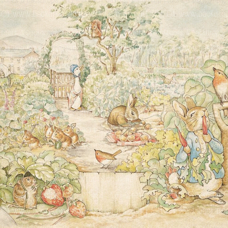 Peter Rabbit Backdrop - Etsy