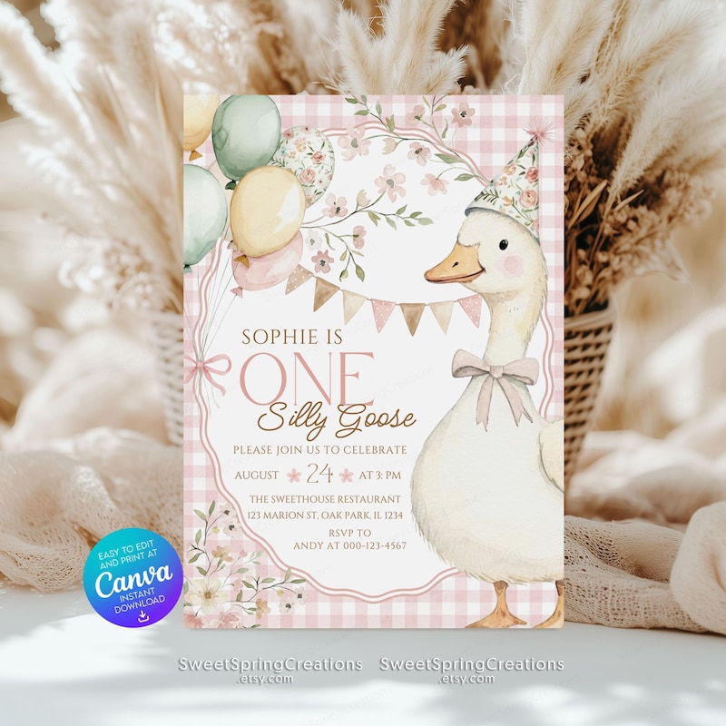 Silly Goose Birthday Party - Etsy