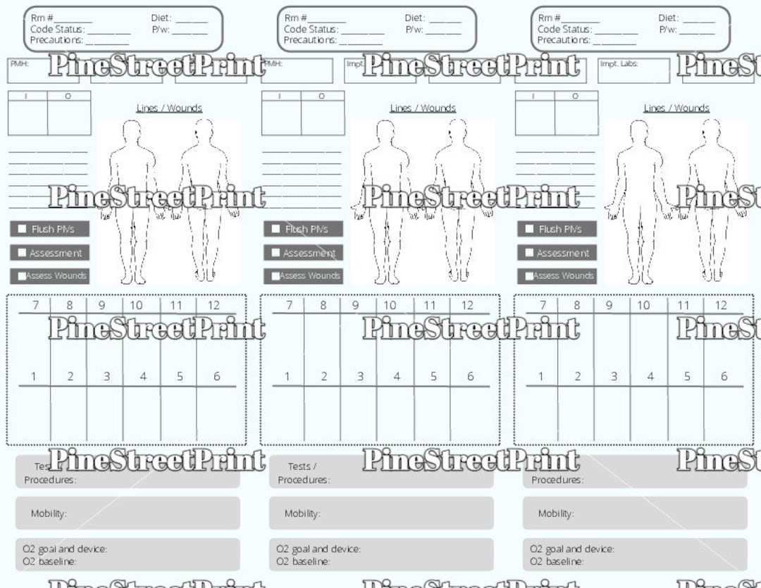 Three Patient Nursing Report / Brain Sheet - Etsy