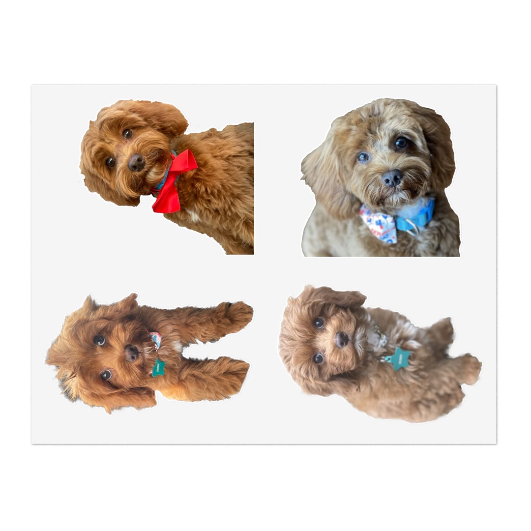 Cockapoo Puppy Sticker Sheet| Cute| Dog| Adorable - Etsy