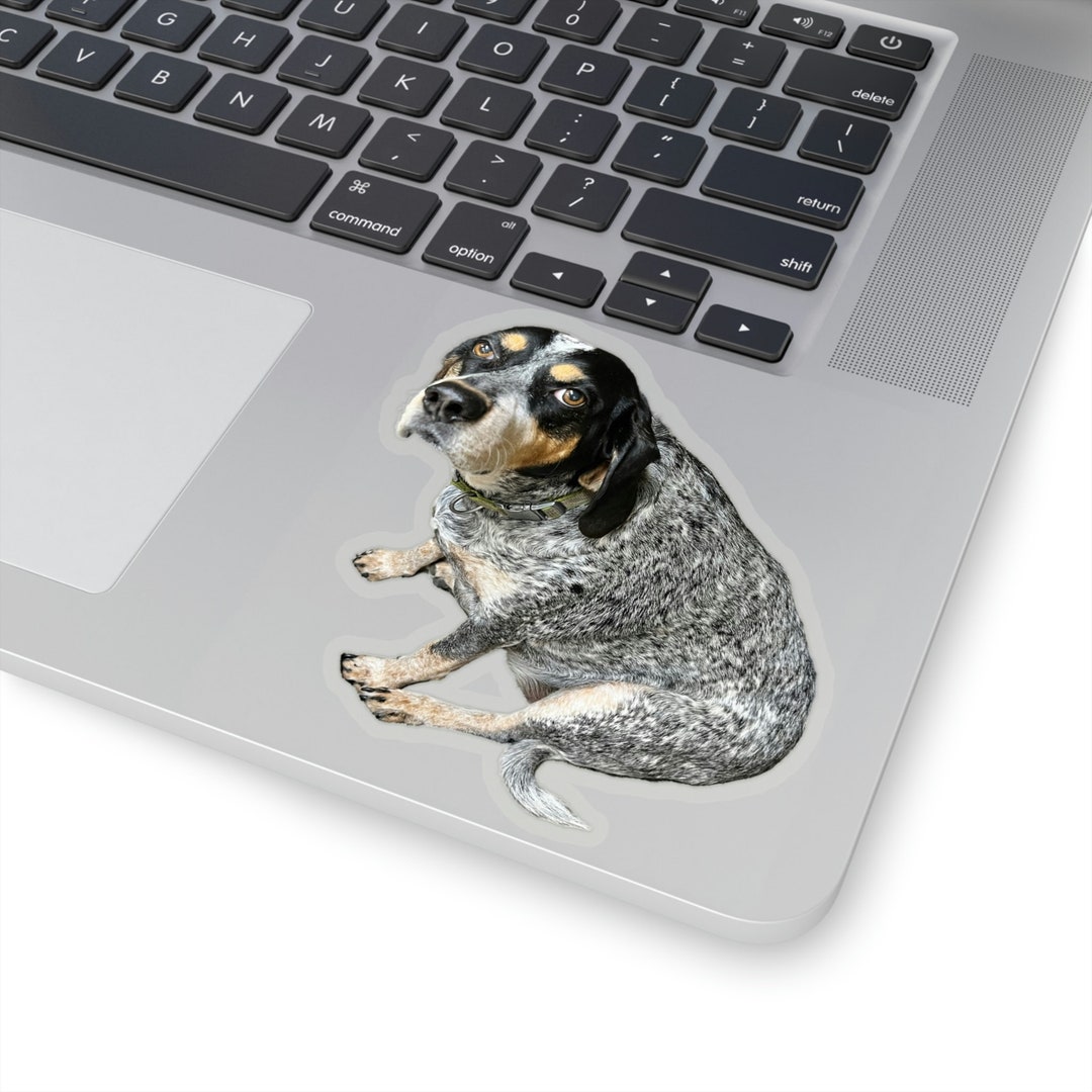 Bluetick Coonhound Sticker Dog Puppy Cute - Etsy