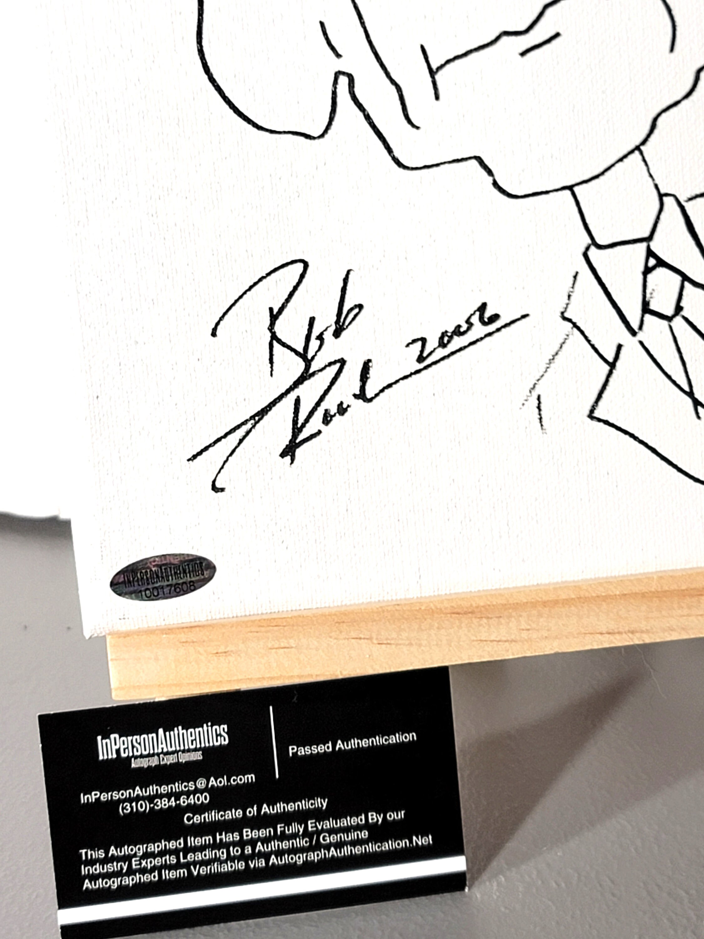 Award Winning Cartoonist Signed Illustration by Bob Rich Certified - Etsy