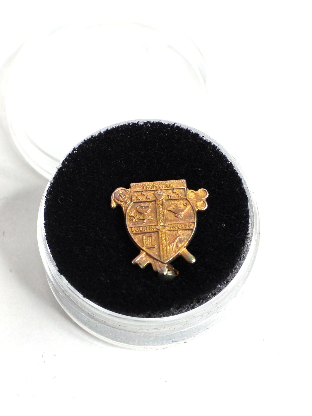 Vintage Coat of Arms Lapel Pin - Etsy