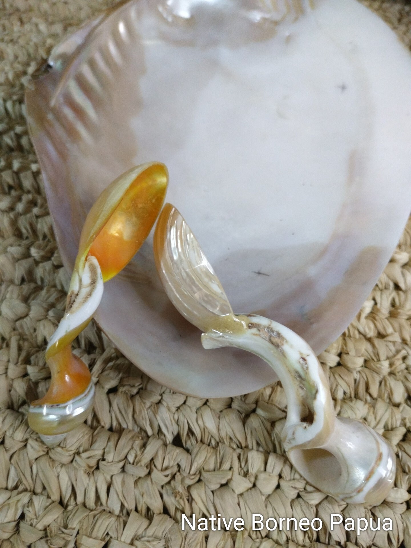 Wholesale Sea Shell Spoon Sugar Tea Coffee Scoop Caviar - Etsy