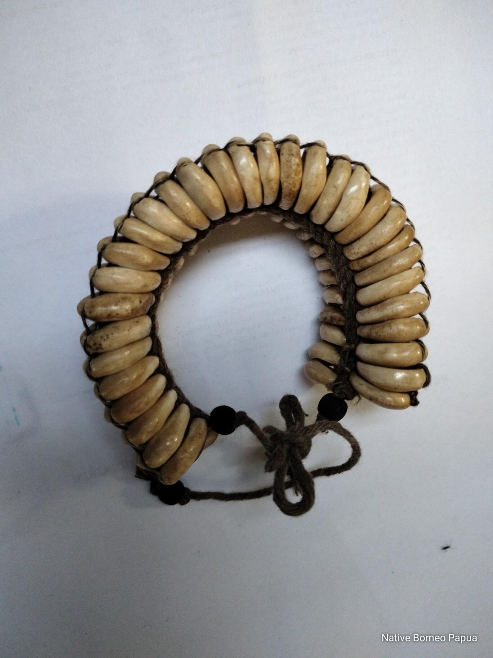 Handmade Cowry Shell Bracelet: Natural Kauri Shell, Adjustable - Etsy