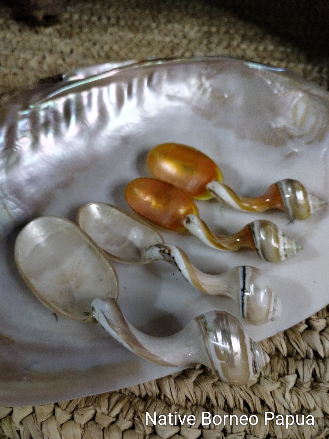 Wholesale Sea Shell Spoon Sugar Tea Coffee Scoop Caviar - Etsy