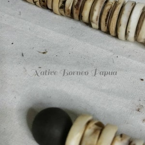 Lumi Money Stick Shells,a Lumi Currency Stick, Antique Shells,lumi ...