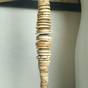 Lumi Money Stick Shells,a Lumi Currency Stick, Antique Shells,lumi ...