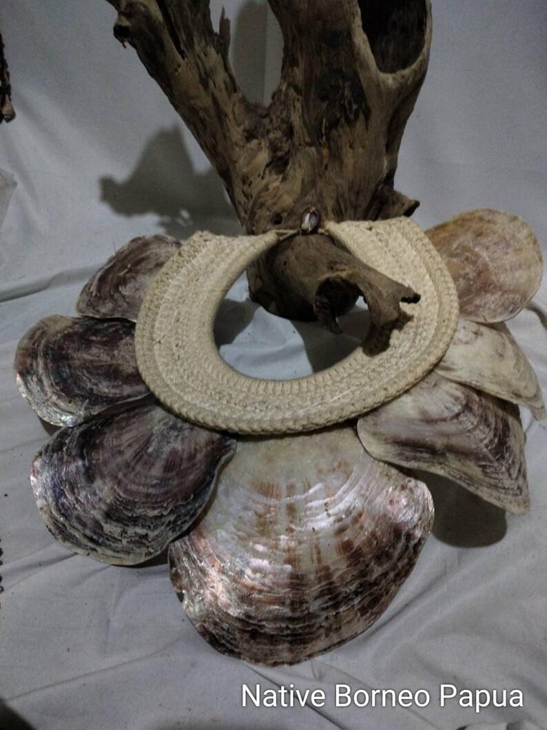 BIG Papua kuping Gajah Shells Necklacehome - Etsy