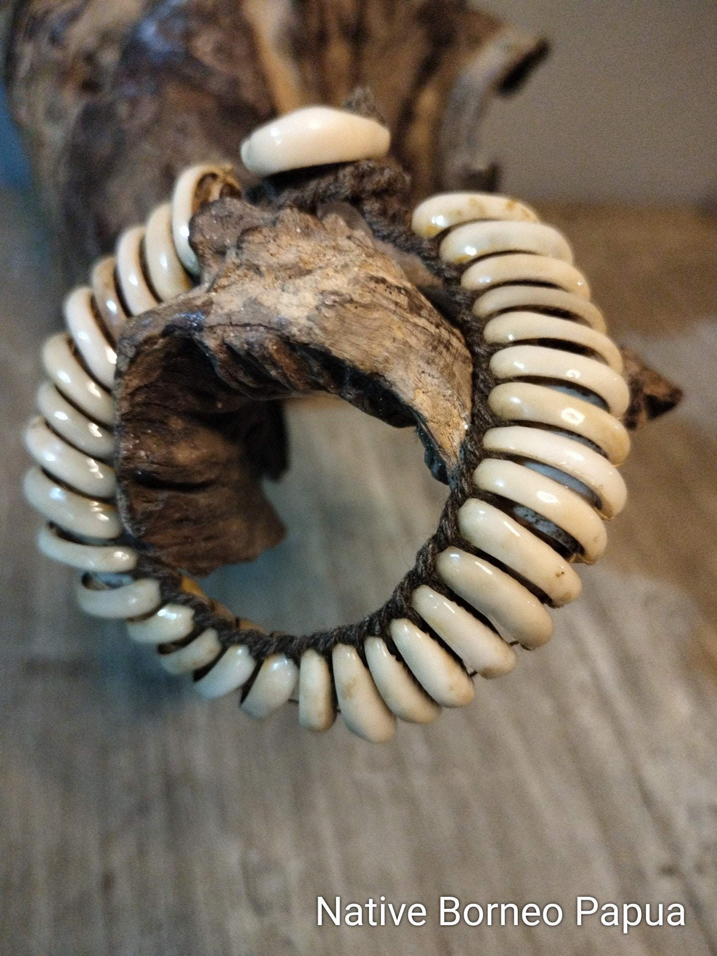 Antique Cowry Shell Bracelet Sea Shell Bracelet Natural Shell Bracelet ...