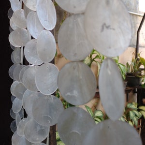 Capiz Shell Curtain: Boho Doorway Divider, Beach Decor. Round - Etsy