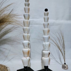 Set of 2 White Lumi Money Stick Shells,a Lumi Currency Stick, Shells ...