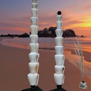 Set of 2 White Lumi Money Stick Shells,a Lumi Currency Stick, Shells ...