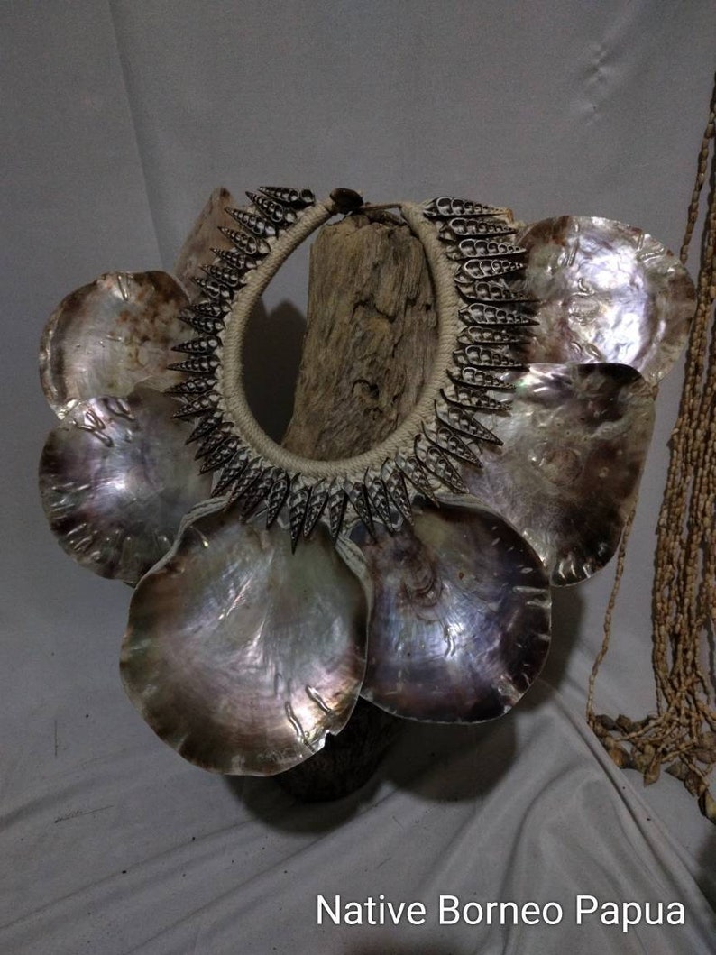 BIG Papua kuping Gajah Shells Necklacehome - Etsy