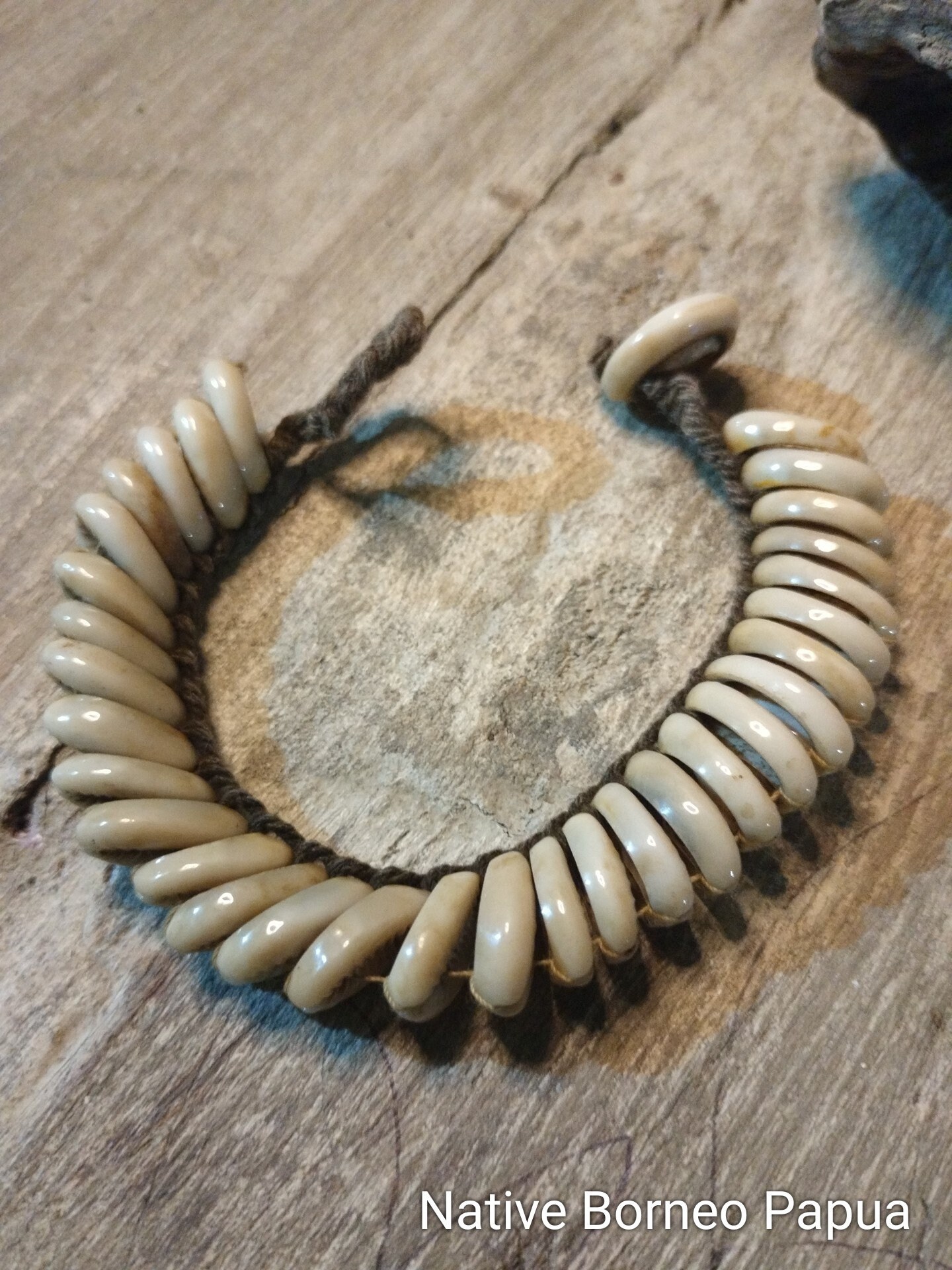 Antique Cowry Shell Bracelet Sea Shell Bracelet Natural - Etsy