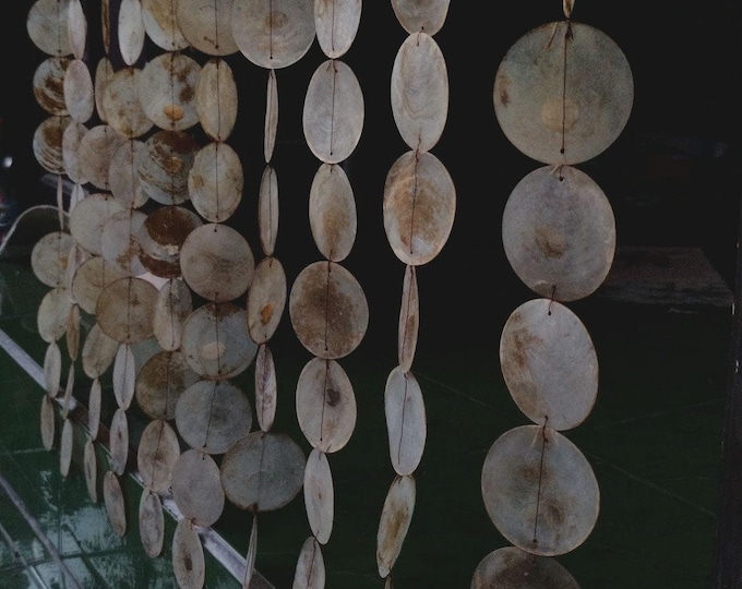 Broken White Boho Shell Curtains, Classic Shell Door Curtains, Beaded ...