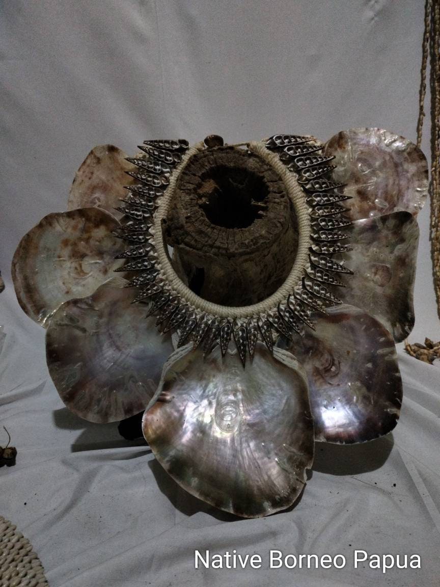 BIG Papua kuping Gajah Shells Necklacehome - Etsy