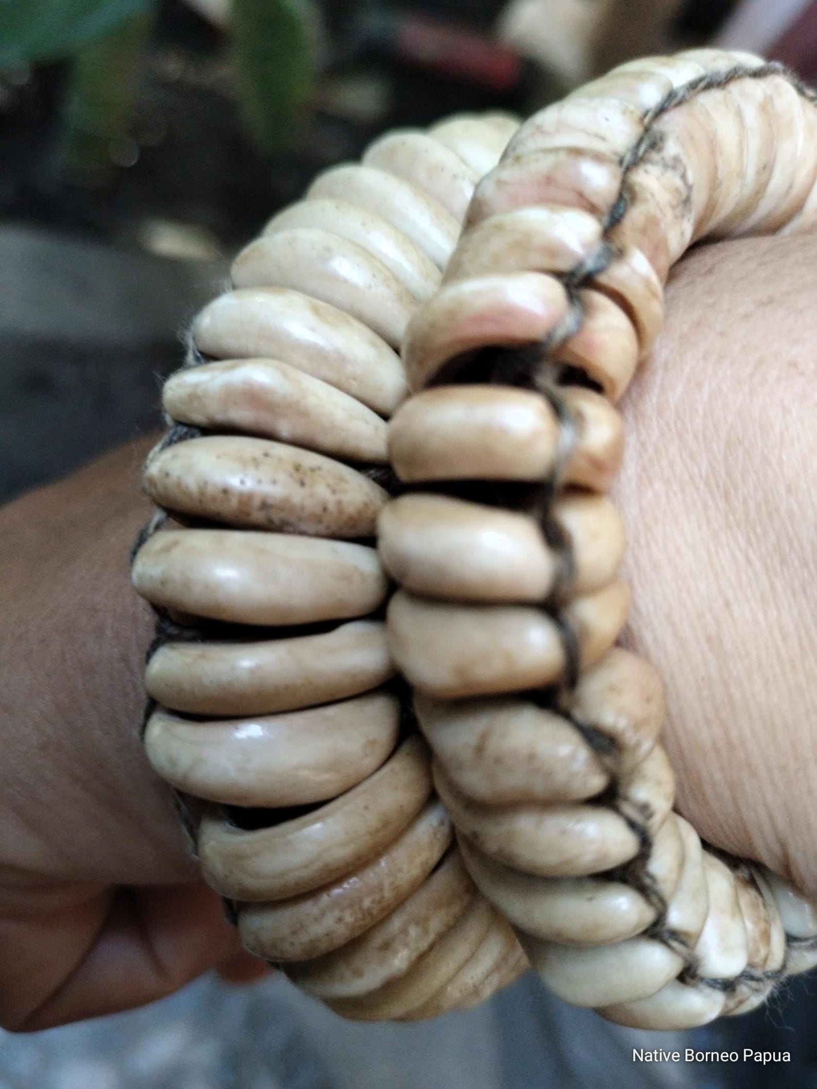 Handmade Cowry Shell Bracelet: Natural Kauri Shell, Adjustable - Etsy